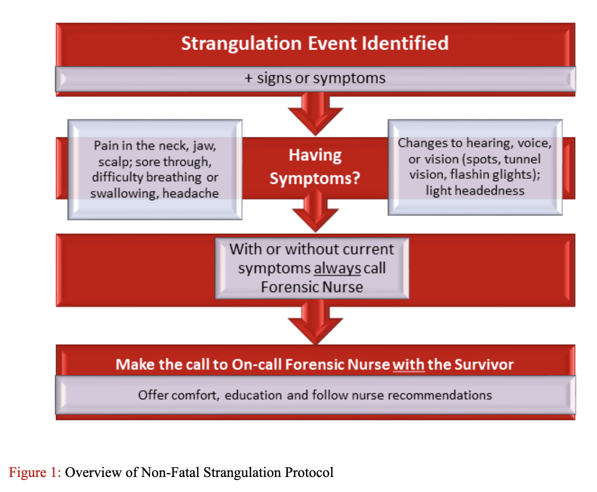 The Coordinated Community Response to Non-Fatal Strangulation in ...